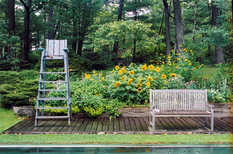 Home [hankonealphoto.com]