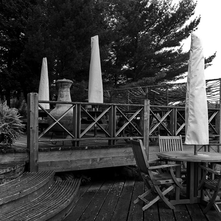 Home [hankonealphoto.com]